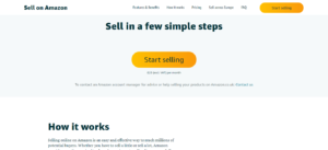 How to Sell Toys Online (2023): A Beginner's Guide - Ecommerce Platforms