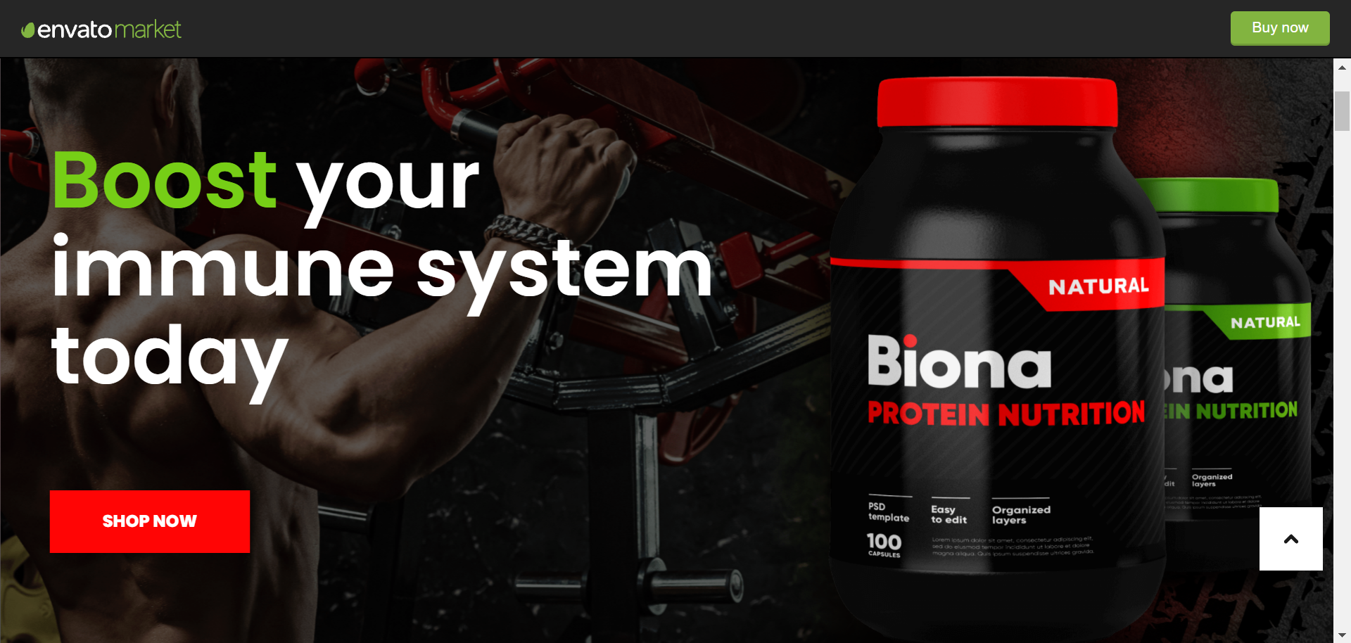 An In-depth Biona Theme Review: The Perfect Theme for Sports Stores?
