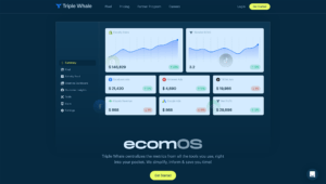 Triple Whale Review: Everything You Need to Know - Ecommerce Platforms