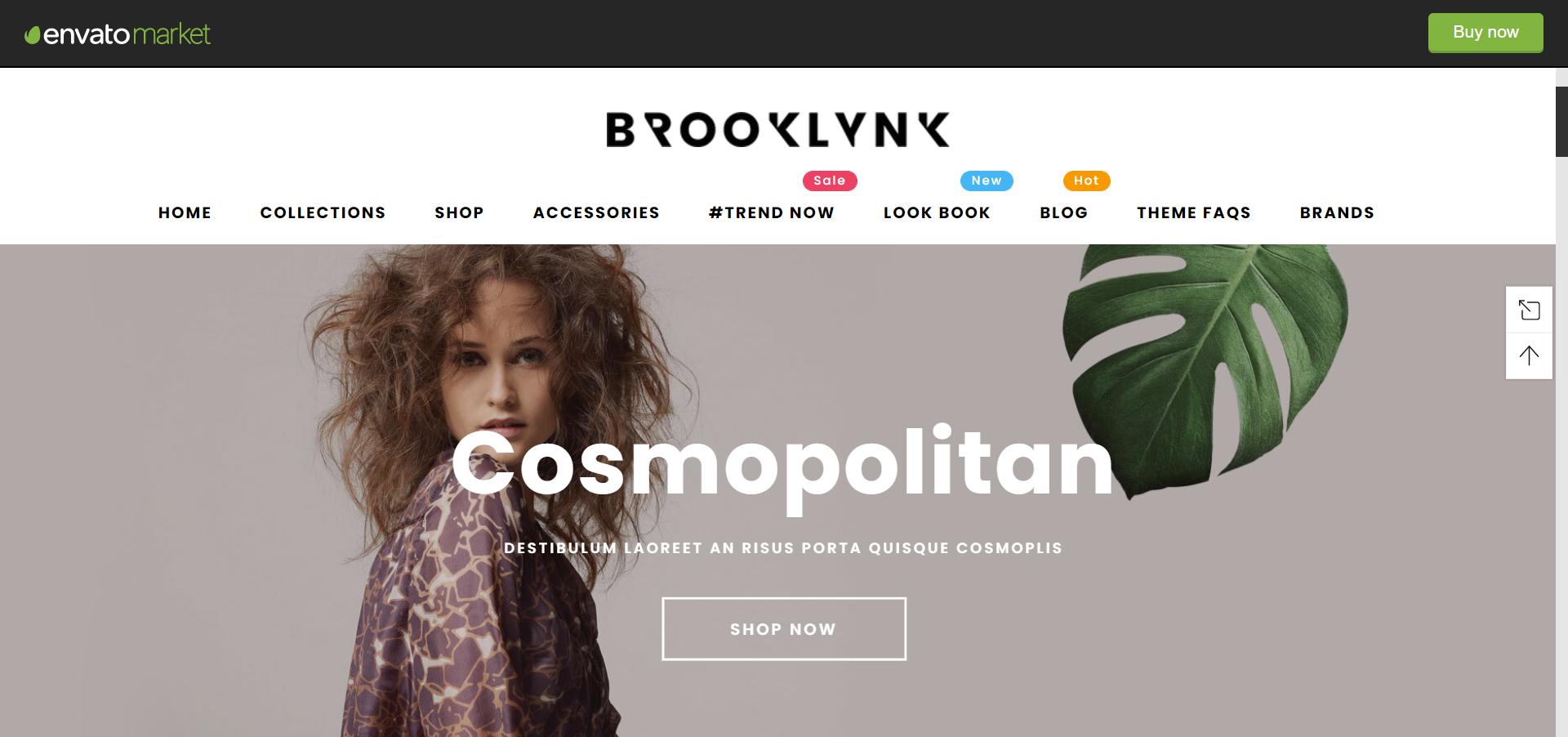 Best Ecommerce Website Templates for 2023 - Ecommerce-Platforms.com