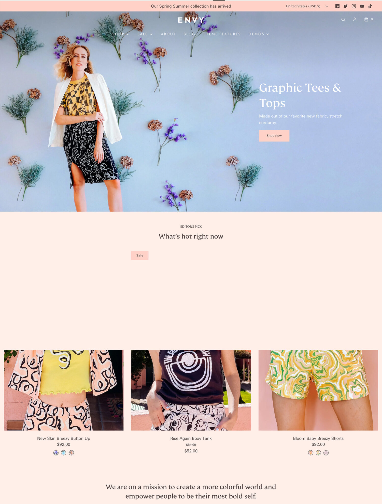 Envy Shopify Theme Review for 2023 - Ecommerce Platforms