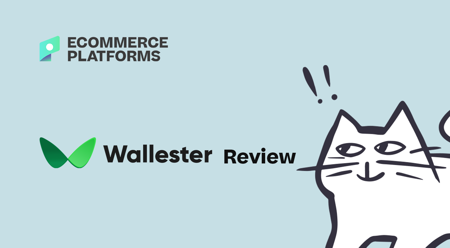 Wallester Business Review: Is This Solution for Your Business?