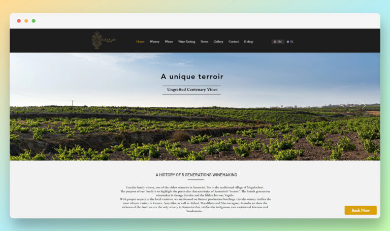 The Best Ecwid Store Examples for 2025 - Ecommerce Platforms