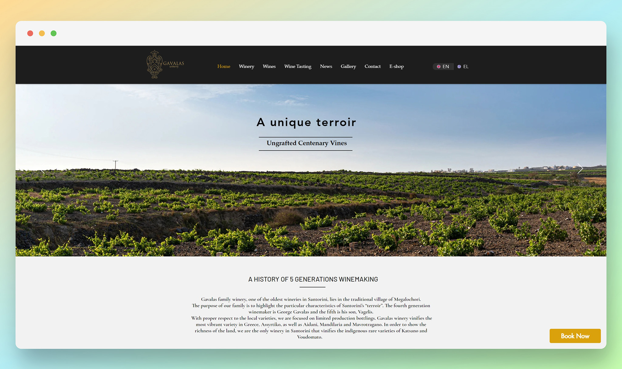 The Best Ecwid Store Examples for 2025 - Ecommerce Platforms