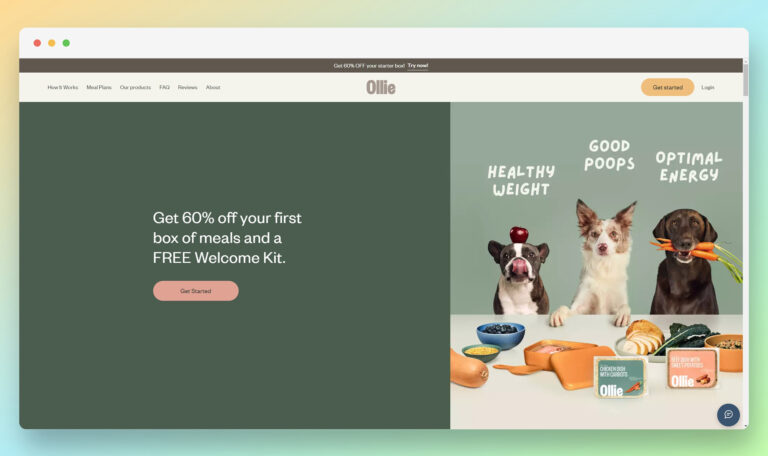 Best Examples Of Bigcommerce Stores In 2023 Ecommerce