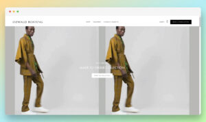 The Best Ecwid Store Examples for 2025 - Ecommerce Platforms