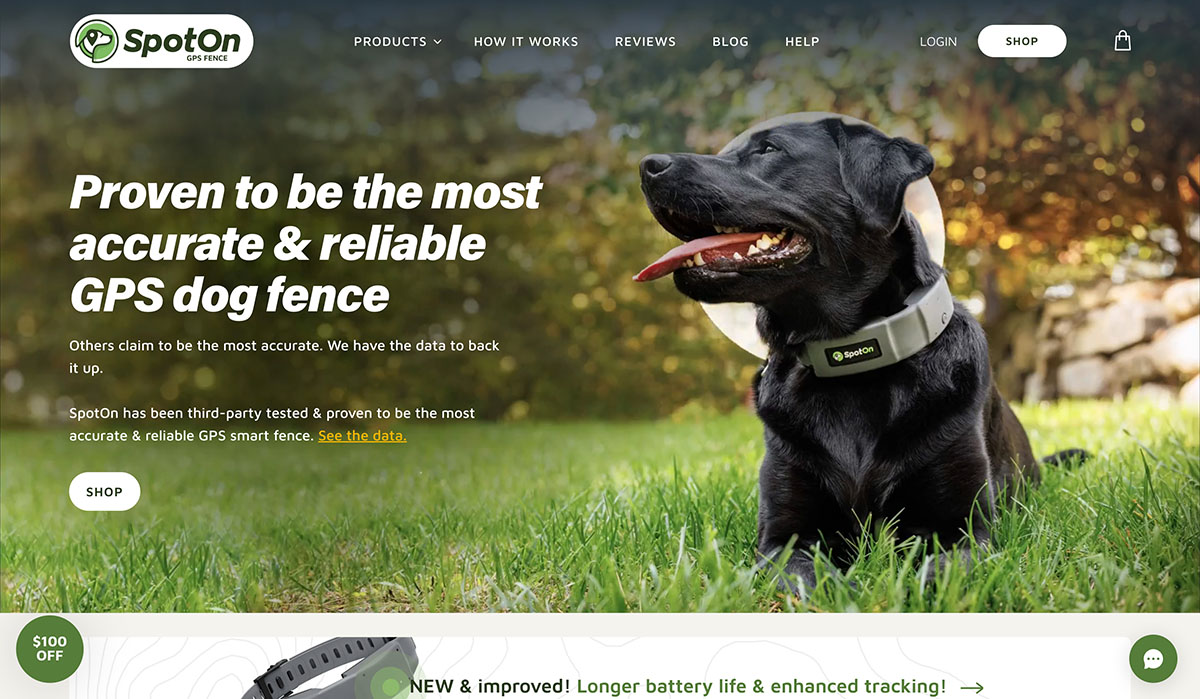 11 One Product Shopify Stores: Inspiring Examples for Ecommerce Success ...