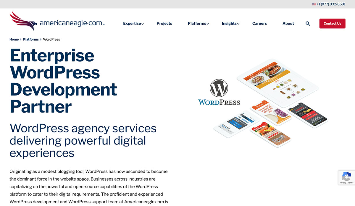 Best WordPress Development Agency in USA