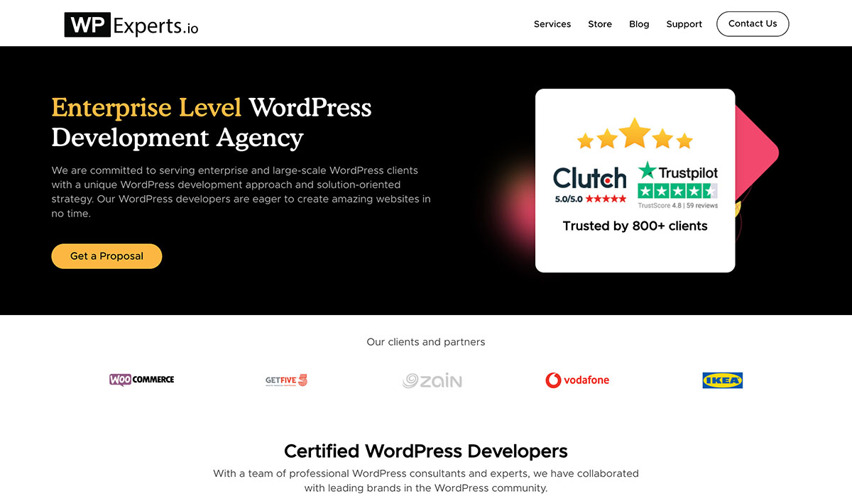 Best WordPress Development Agency in USA