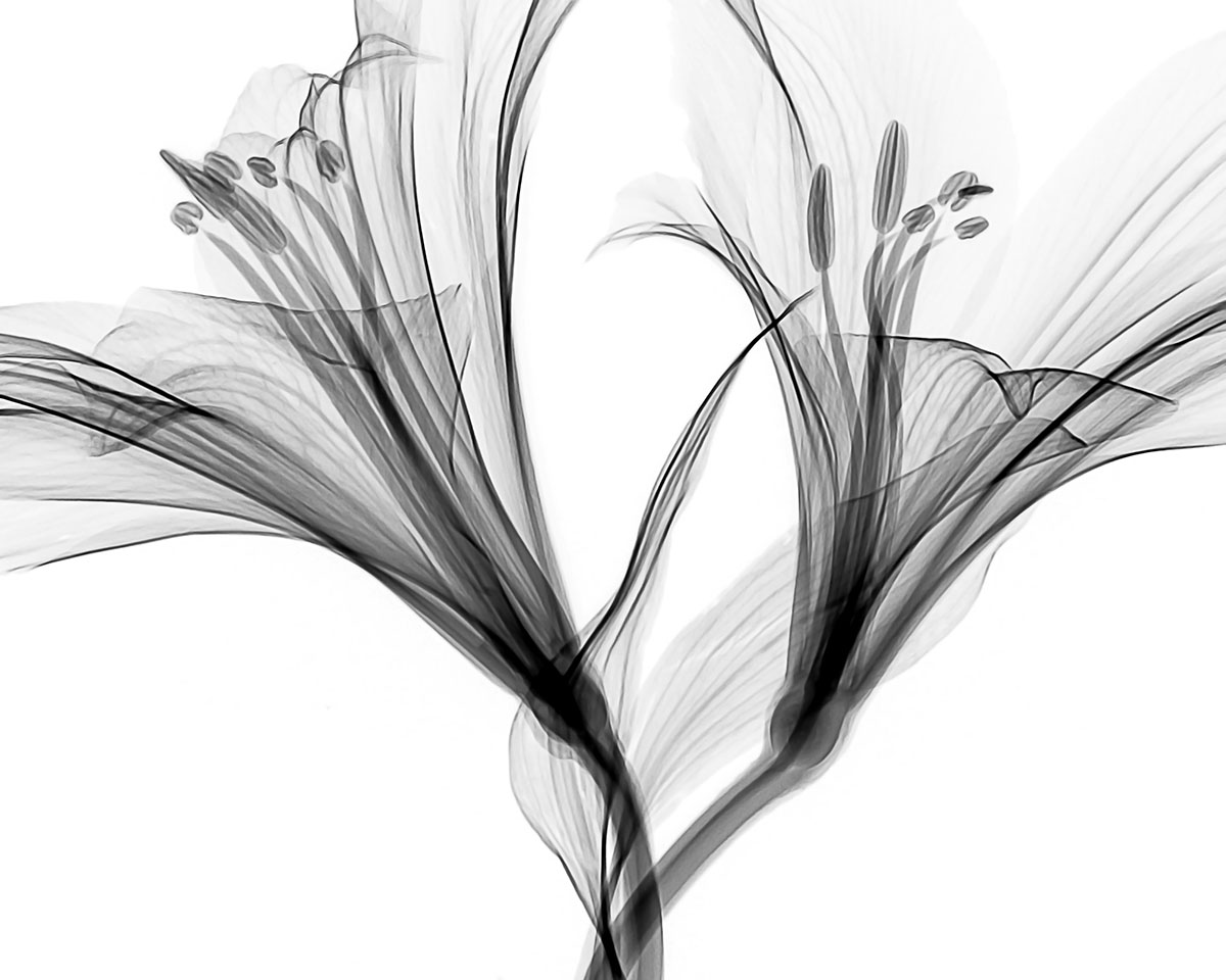 10 Best-Selling Art Types That Consistently Make Money - Ecommerce ...